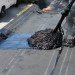 Dachpappe undicht: So reparieren Sie Ihr Dach - HeimHelden®